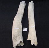 Questions and results